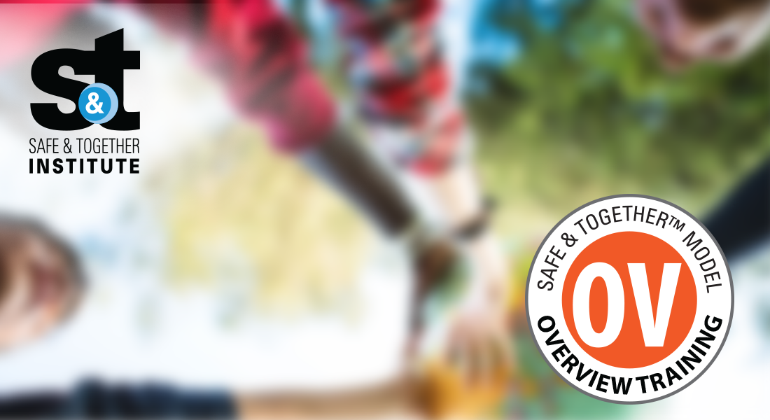OVERVIEW TRAINING - Safe & Together Institute OVERVIEW TRAINING - Safe & Together Institute